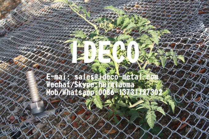 Single Twisted Rectangular Mesh, Chain Link Mesh Netting for Rock Slope ...