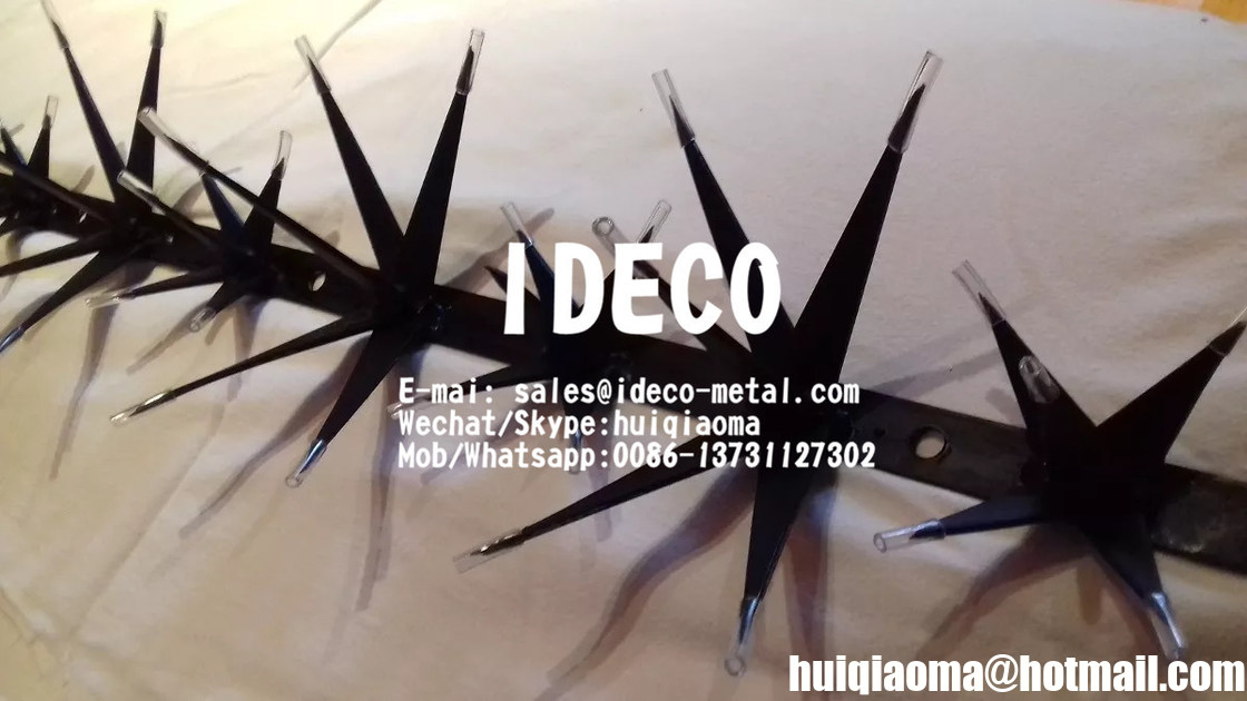 Black Powder Coated Super Wall Spikes, Flower type Wall Spikes, Razor ...